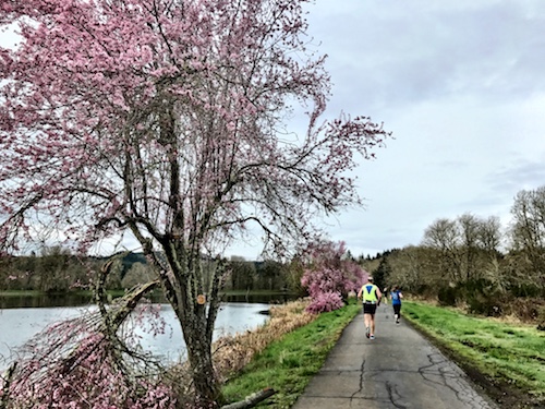 2017 Vernonia Marathon Race Recap – Happy Running Mom