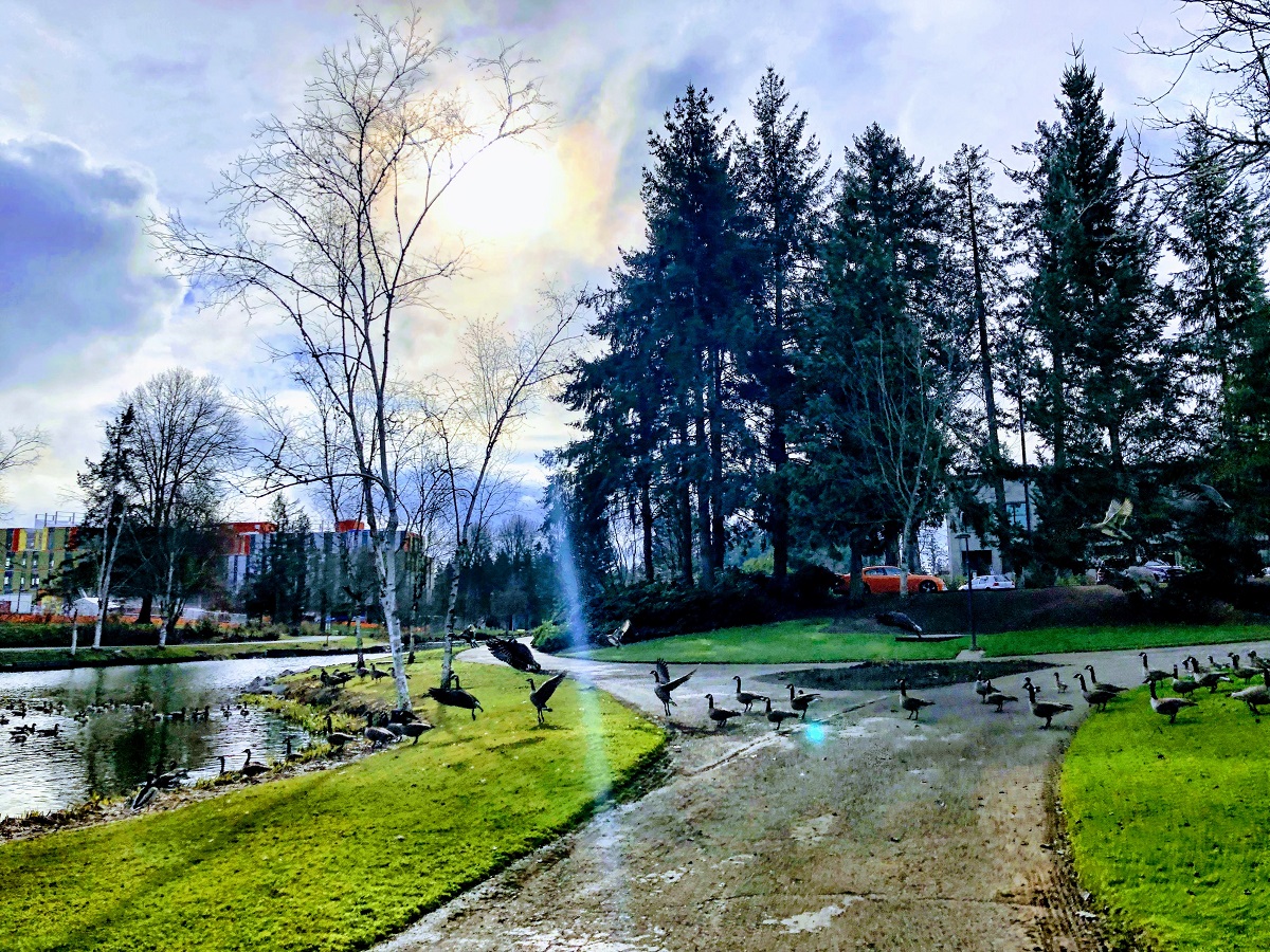 Vernonia Marathon Training Week 7 and Weekly Wrap (2/5-2/11) – Happy ...