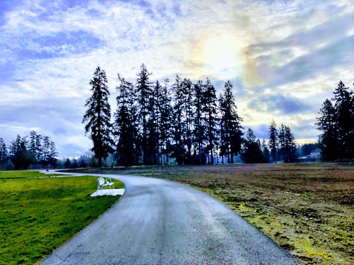 Vernonia Marathon Training Week 8 and Weekly Wrap (2/12-2/18) – Happy ...